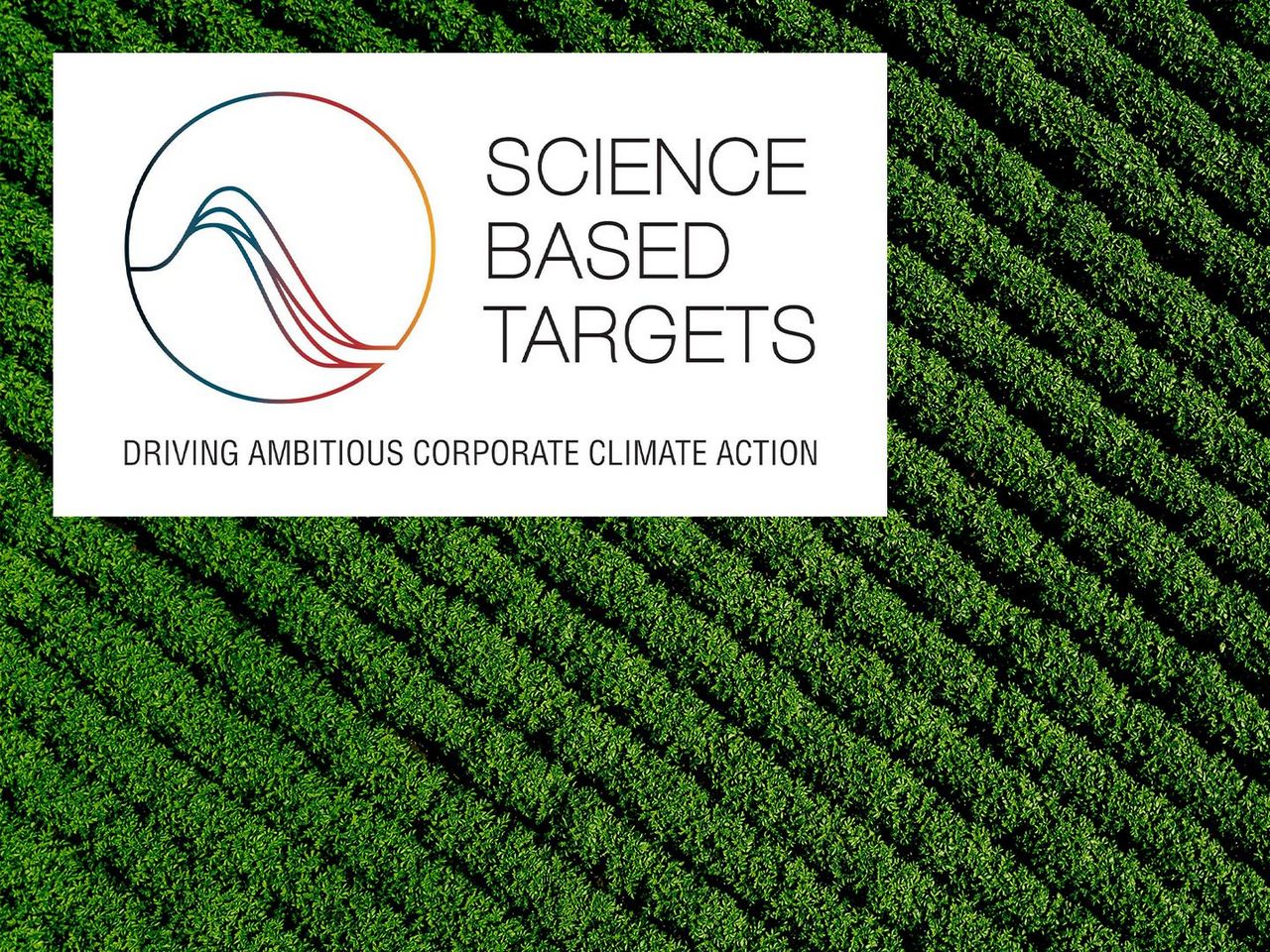 Intersnack Group - Intersnack Group